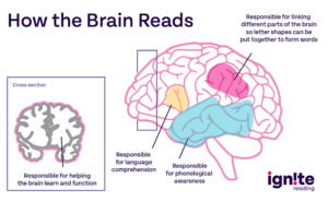 Why Learning to Read Is So Hard — And What Schools Can Do About It ...