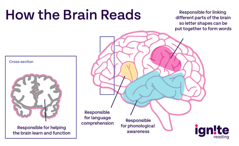 Why Learning to Read Is So Hard — And What Schools Can Do About It ...