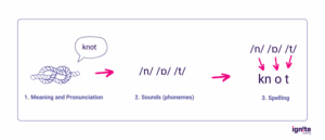 Why Orthographic Mapping Is the Key Kids Need to Unlock Reading ...